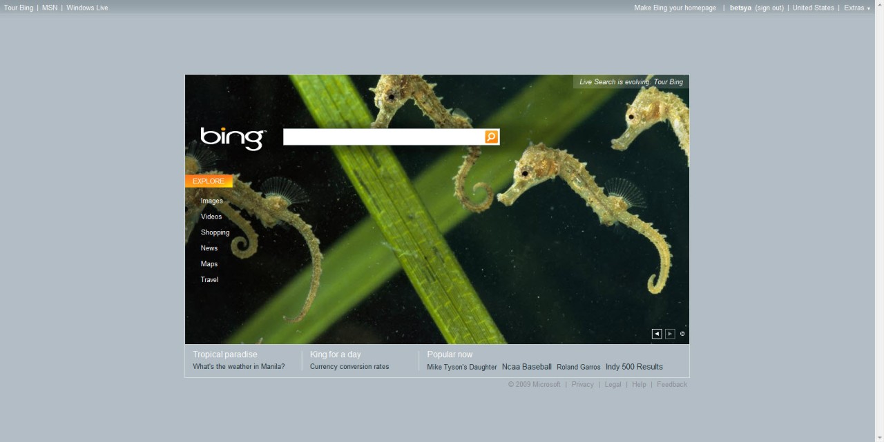 Bing - Microsofts neue Suchmaschine startet - Golem.de