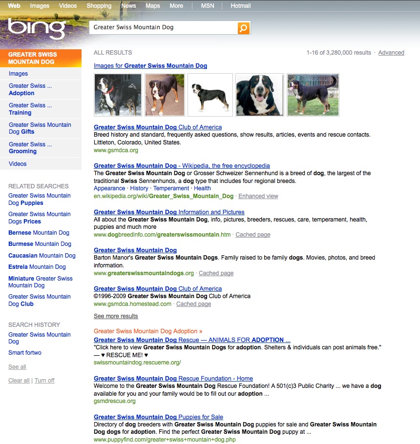 Bing bekommt eine visuelle Suchfunktion - Golem.de