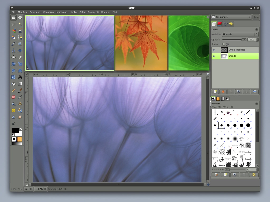 Gimp 2.8 bekommt Ein-Fenster-Interface und Polaroids - Golem.de