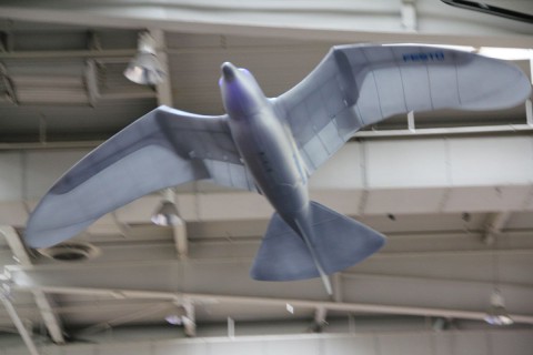 Smart Bird: Bionik erzeugt Aufmerksamkeit - Golem.de