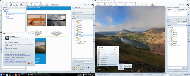 Freie Bildverwaltung: Digikam 2.0.0 RC1 verwaltet Fotos mit ...