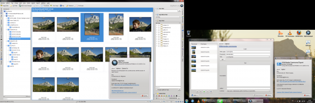 Freie Bildverwaltung: Digikam 2.0.0 RC1 verwaltet Fotos mit ...