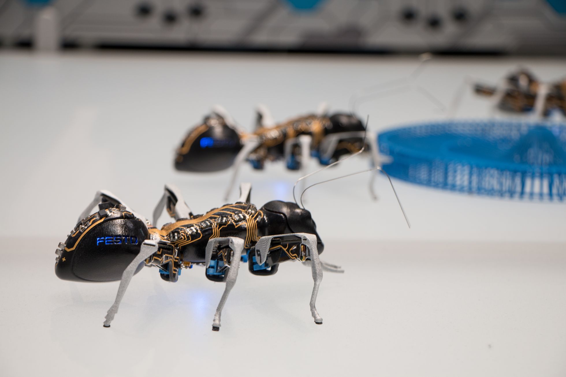 Festo: Ameisenroboter krabbeln koordiniert - Golem.de