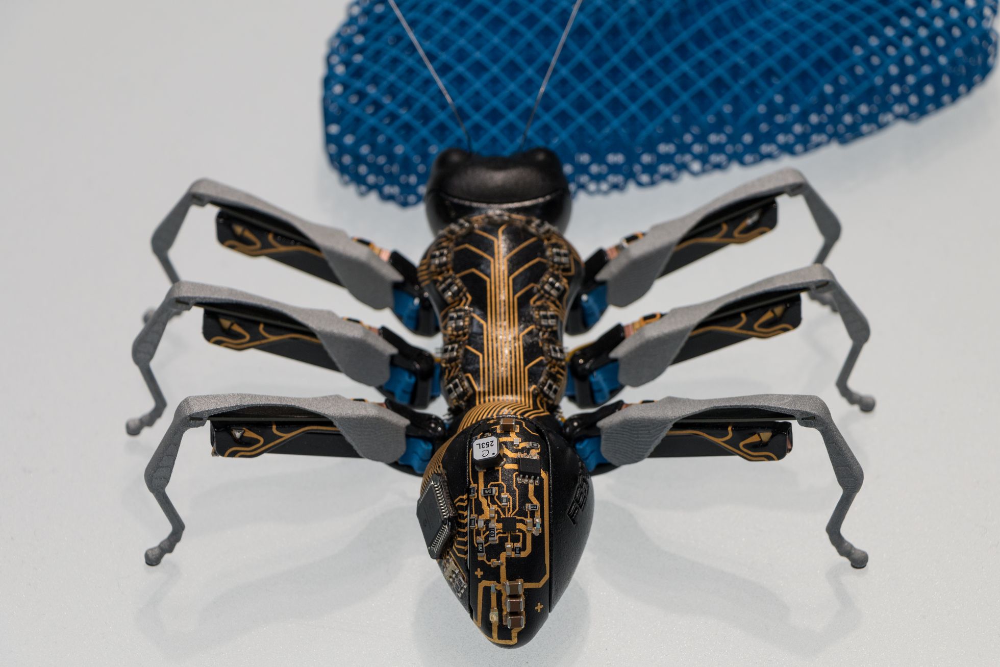 Festo: Ameisenroboter krabbeln koordiniert - Golem.de