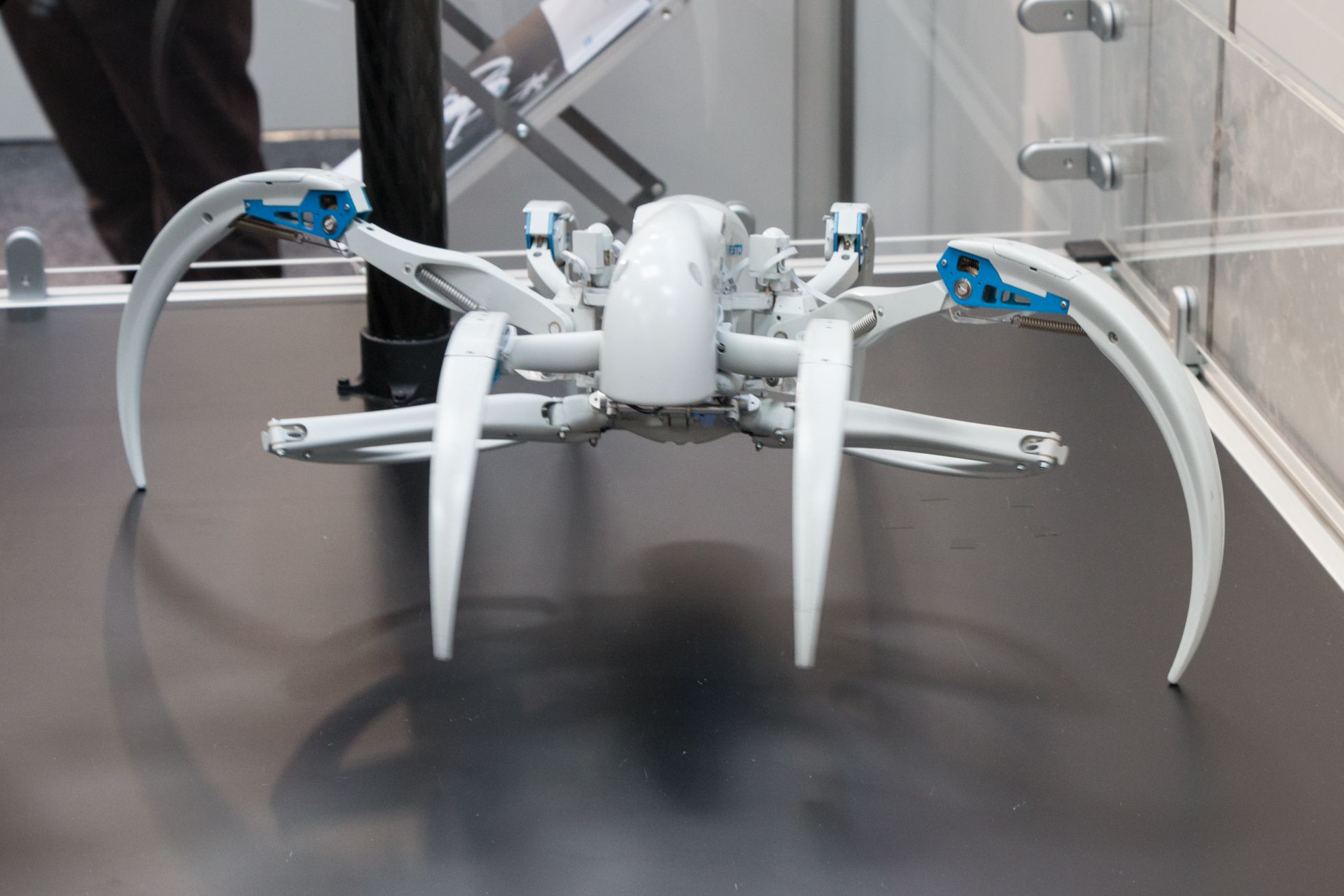 Bionic Wheel Bot: Festos Spinnenroboter rollt und läuft - Golem.de