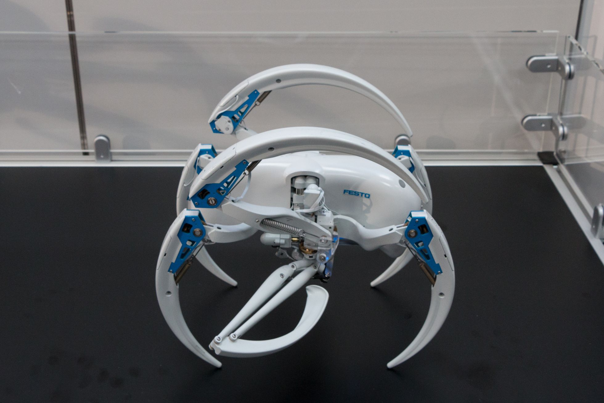 Bionic Wheel Bot: Festos Spinnenroboter rollt und läuft - Golem.de