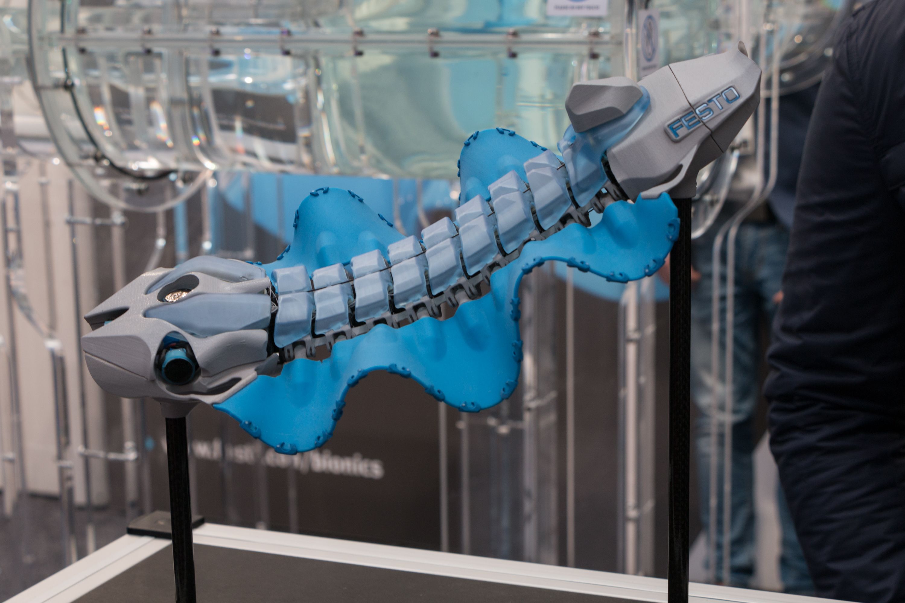 Bionic Finwave: Festos Fischroboter schwimmt durch Rohre - Golem.de