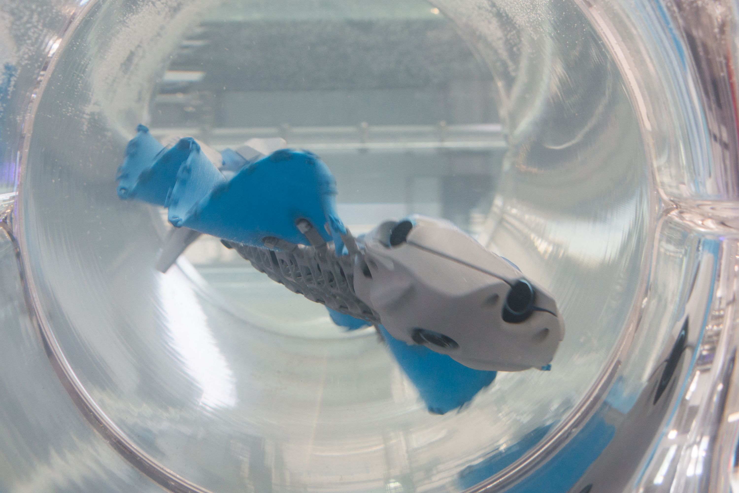 Bionic Finwave: Festos Fischroboter schwimmt durch Rohre - Golem.de