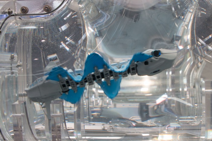 Bionic Finwave: Festos Fischroboter schwimmt durch Rohre - Golem.de