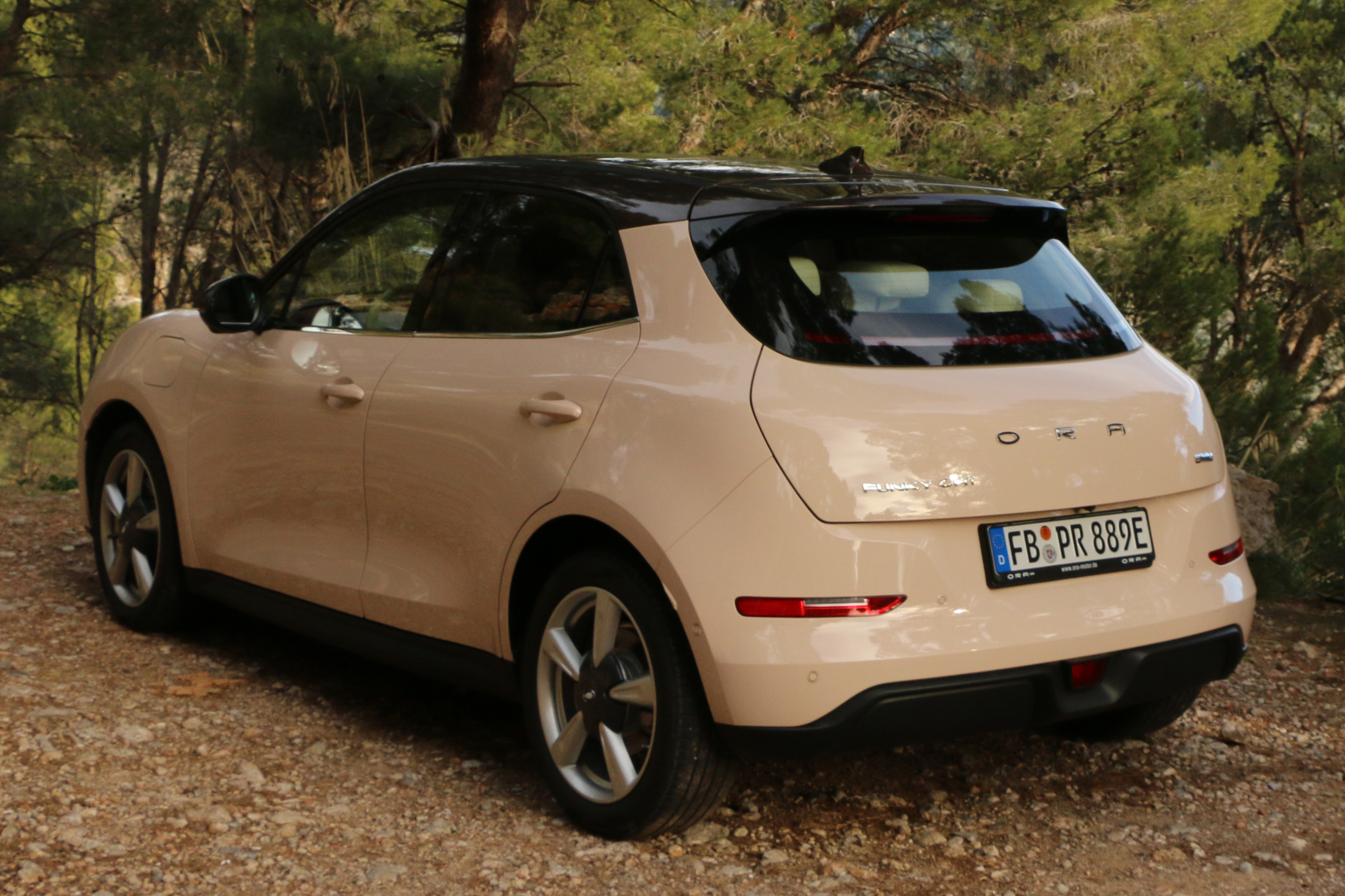 Probefahrt mit Ora Funky Cat: Die erste Katze, die sich kommandieren ...