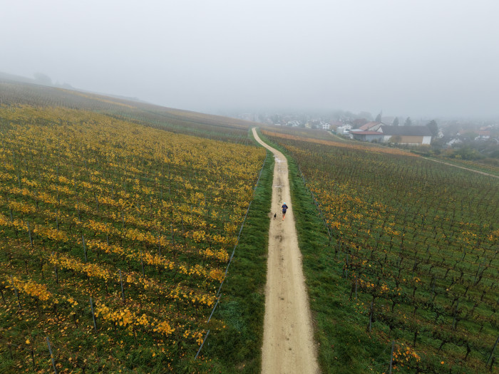 DJI Neo 2 im Test: Neue Minidrohne mit Gestensteuerung und 4K-Kamera ...