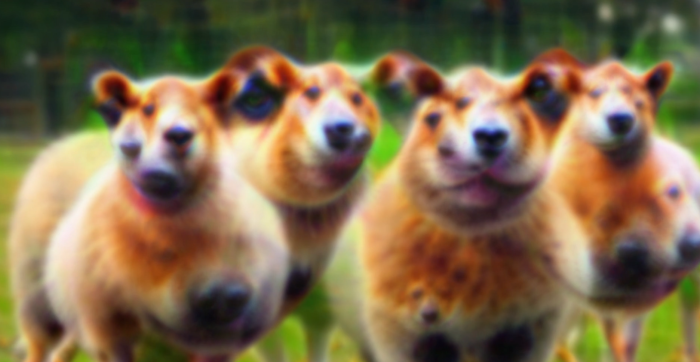 Interpretierbarkeit für KI: Wie man neuronale Netze verstehen kann ...